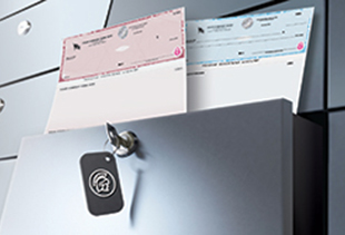 Safeguard - Check Offer